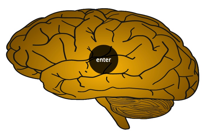 The Scale of the Brain by Patrick Wied